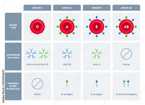 Chart Of O A B Ab Blood Group Types With Antibodies And Antigen