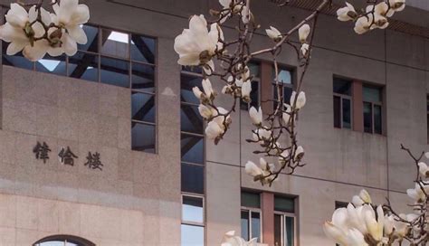 返校通知再发布 清华大学108周年校庆经管学院校友返校系列活动清华经管学院