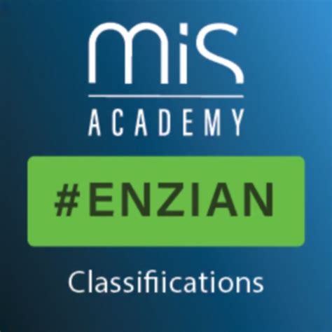 Enzian Classification Mis By Ariel Aljohn Coching