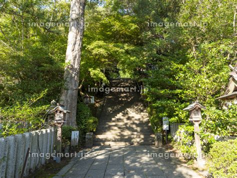 境内へと続く葛城一言主神社の参道の写真素材 イメージマート
