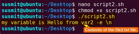 How To Write Bash Variable To A File 3 Effective Methods Linuxsimply