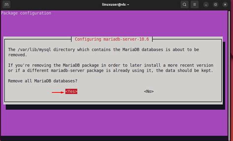 Cómo instalar MariaDB en Ubuntu Pacha Hosting Blog