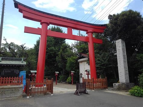 鷲宮神社 迷彩しっぽ