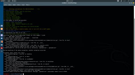 Phoneinfoga Osint