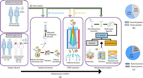 The Metaproteomics Workflow For The Analysis Of Human Oral Microbiome Download Scientific