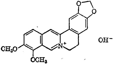 黄连素 化学词典 专业词典