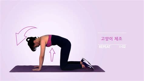 자생척추체조 허리 아플때 좋은 운동 고양이 체조 Youtube