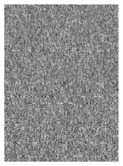 the encrypted images with adding 4 salt and pepper noise download
