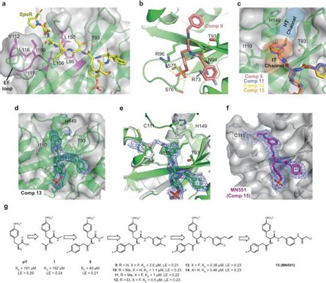 Beth Forrester On Linkedin Structure Based Design Of A Phosphotyrosine Masked Covalent Ligand…