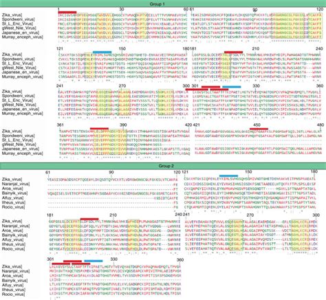 Multiple Sequence Alignment Showing The Fully Conserved Region
