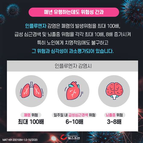 카드뉴스 코로나 시대의 독감 누가 가장 위험할까 당신의 건강가이드 헬스조선