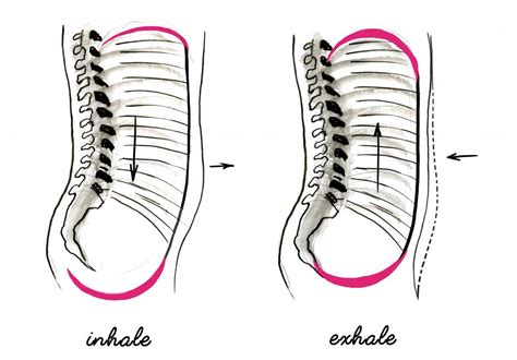 core essentials part i back to basics — shut up and yoga