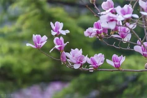 抱團養老一年就散夥，六十歲阿姨：原以為很美好，實際上一地雞毛 壹讀
