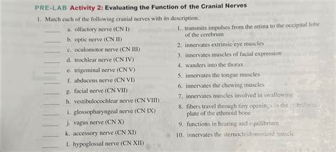 Solved PRE LAB Activity 2 Evaluating The Function Of The Chegg Com