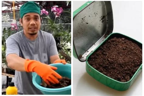 Youtube Praktekan Cara Membuat Pupuk Kompos Kisah Zaman Duhulu Kala