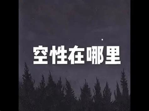 201801 空性在哪里23069 YouTube