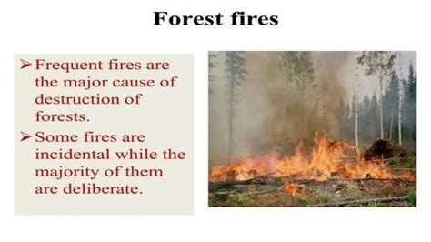 Deforestationpptx Introduction Causes Consequences And Solutions To