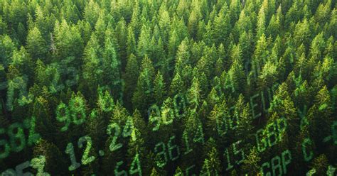 Gss Bond Issuance Hits Almost 1trn In 2024 As Europe Takes The Lead