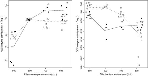 Adc And Odc Enzyme Activities In Developing Zygotic Embryos Of Scots