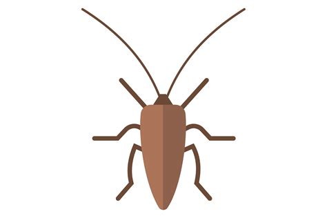 Cockroach Flat Icon Pest Symbol Color Graphic By Microvectorone