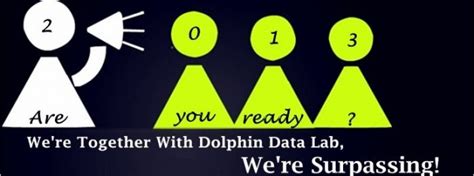 Dolphin Data Lab Has Met Engineers Worldwide In Its Office Dolphin Data Lab