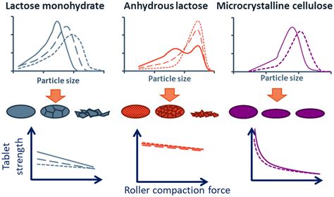 The Effect Of Excipient Particle Size On The Reduction Of Compactibility After Roller Compaction