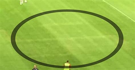 Groundskeeping Done Wrong Imgur