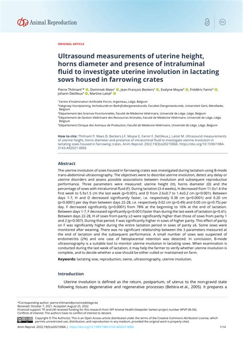 Pdf Ultrasound Measurements Of Uterine Height Horns Diameter And