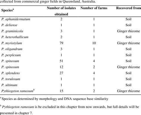 1 Species Of Pythium And Pythiogeton Recovered From Ginger Rhizomes Download Table