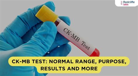 Ck Mb Test Normal Range Purpose Results And More