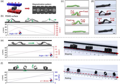 Inchworm‐inspired Locomotion Of Magnetic Paper Robots A Schematic Download Scientific Diagram