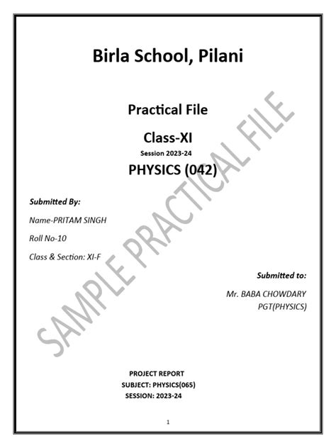 Practical File Xi Ip Pdf