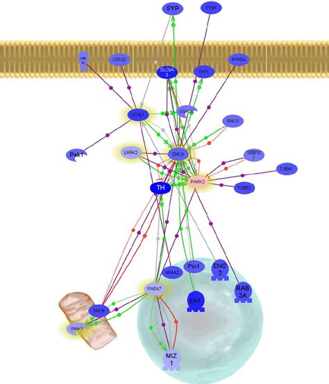 Interactions Of Known Pd Genes Marked Yellow With The Priority