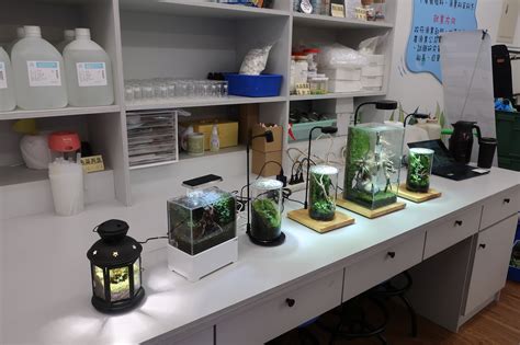 感謝馬蘭國小師生來到港中職探中心！ 臺東縣新港國民中學區域職業試探與體驗示範中心