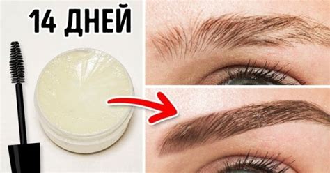 Корисненько! | Beautiful eyebrows, How to grow eyebrows, Beauty hacks