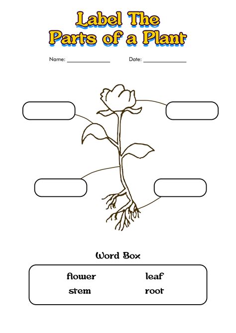 14 Plant Worksheets For Grade 1 Free Pdf At