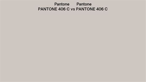 Pantone 406 C Vs Pantone 406 C Side By Side Comparison
