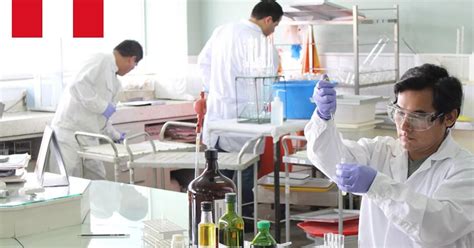 Estas Son Las Universidades Peruanas Con Mayor Producción Científica