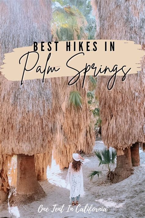 Best Hikes In Palm Springs