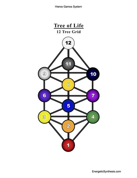 12 Tree Grid Ascension Glossary