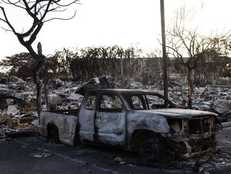 Maui Wildfires Draws Conspiracy Theories About Lasers Trees Oprah