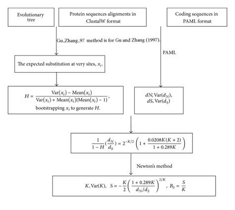 A Flow Chart To Outline The Computational Pipeline Implemented In A Flow Chart To Outline The Computational Pipeline Implemented In