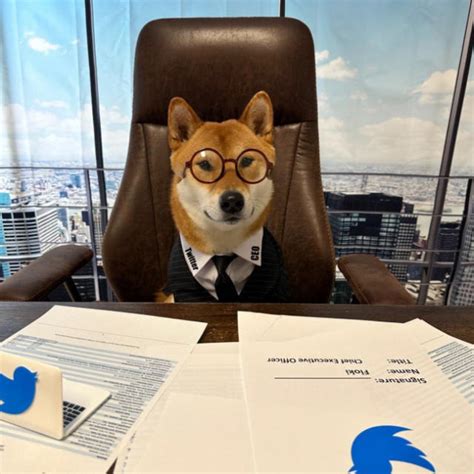 Elon Musk Declares His Dog Floki Is Twitter Ceo