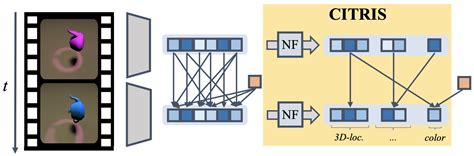Citris Causal Identifiability From Temporal Intervened Sequences Phillip Lippe