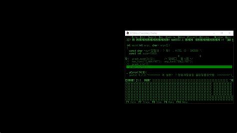 Dual Screen Debugging In Dos Using Dosbox X Youtube