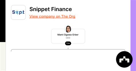 Snippet Finance The Org