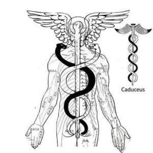 Caduceus Guide To Symbols