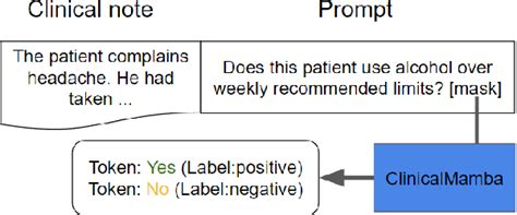 Clinicalmamba A Generative Clinical Language Model On Longitudinal Clinical Notes Paper And Code