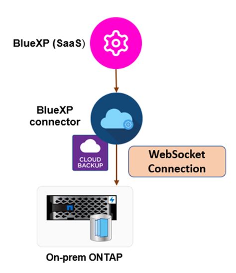 Bluexp Backup And Recovery Feature Blog March 23 Updates Netapp Community