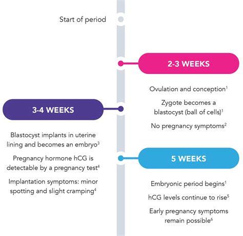 Early Pregnancy Symptoms Pregnancy Symptoms Early Signs Of Pregnancy